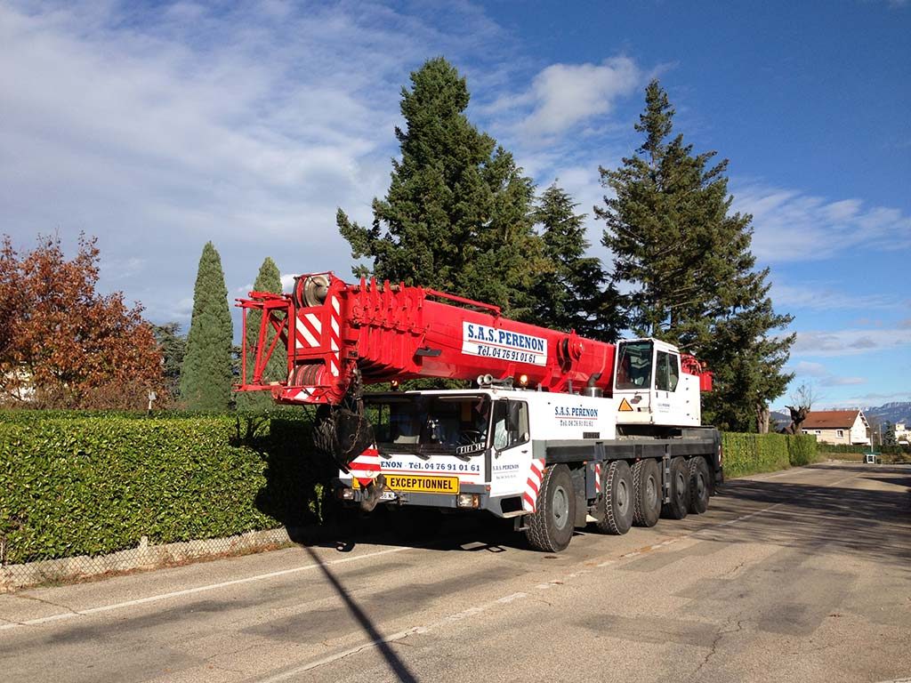 Matériel à la location de grues de levage en Rhône-Alpes